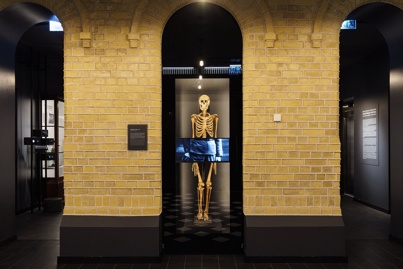 Permanent Exhibition Of The RSU Anatomy Museum Dd Studio